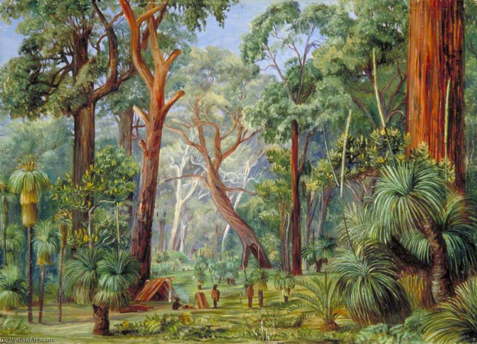 Buy Museum Art Reproductions Scene in a West Australian Forest, 1880 by ...