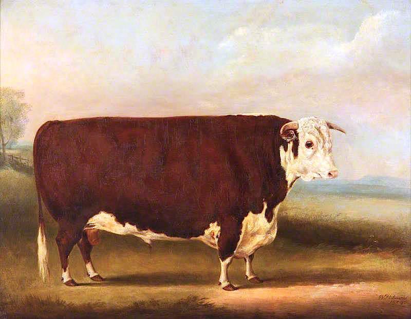 Buy Museum Art Reproductions Hereford Bull Walford`, 1859 by William ...