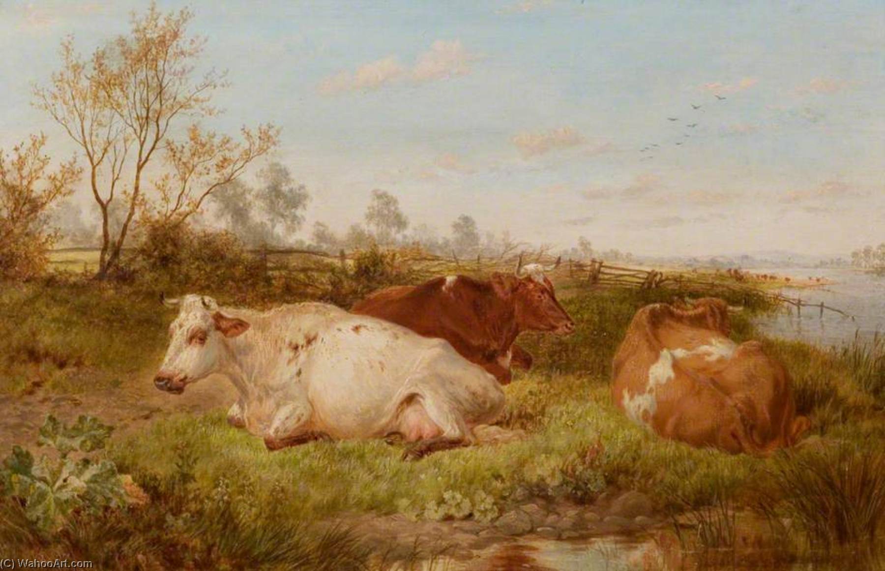 Buy Museum Art Reproductions Study of Cattle, 1890 by James Walsham ...