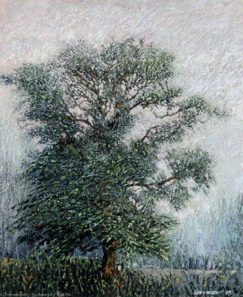 Wych Elm, 1989 by Gary Sargeant Gary Sargeant | ArtsDot.com