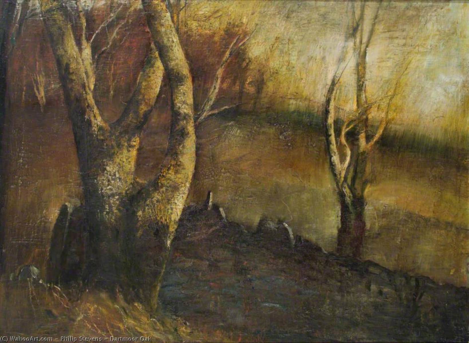 Dartmoor Oak, 1994 by Philip Stevens Philip Stevens | ArtsDot.com