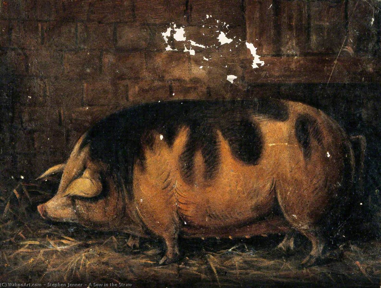 A Sow in the Straw, 1840 by Stephen Jenner Stephen Jenner | ArtsDot.com